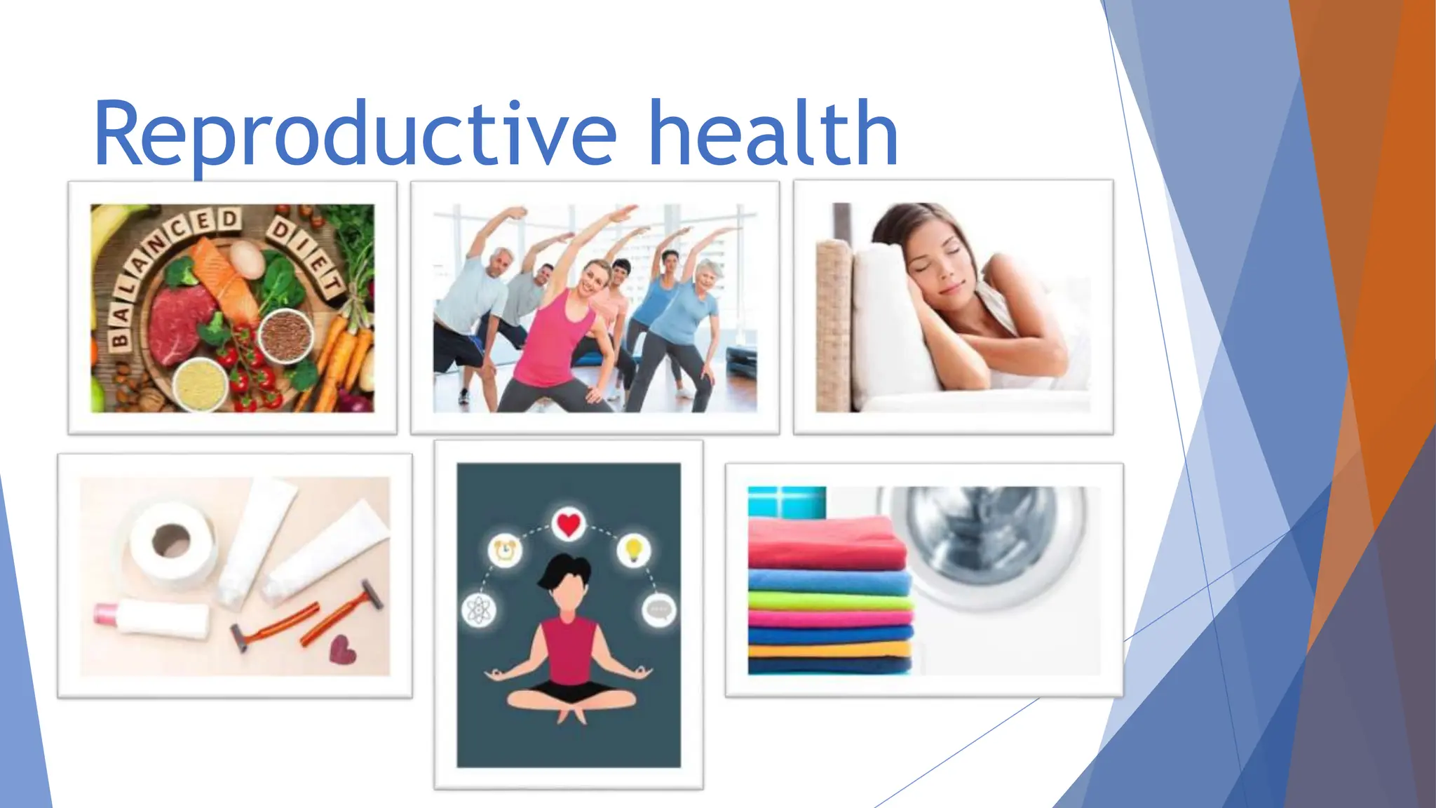 The best Human reproductive System ppt.pptx