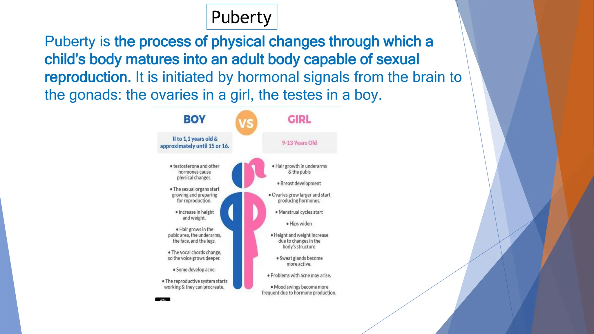 The best Human reproductive System ppt.pptx