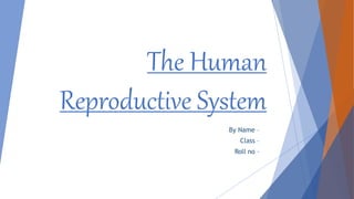 The best Human reproductive System ppt.pptx