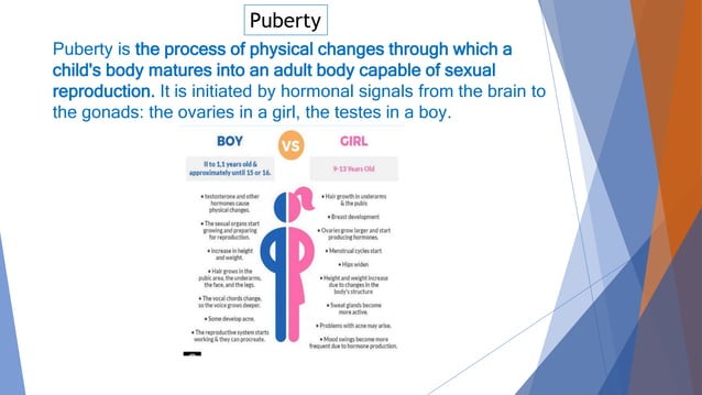 The best Human reproductive System ppt.pptx