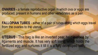 Human Reproductive System week 1 day 1-2.pptx