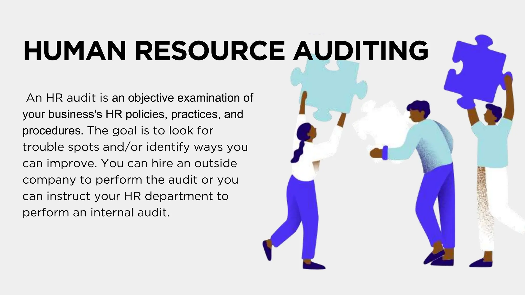 Human resource audit Presentation (3).pptx