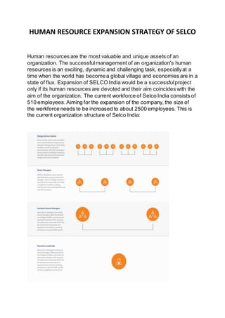 Human Resource Expansion Strategy of SELCO India | PDF