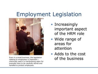 Human Resource Management | PPT | Human Resources | Business