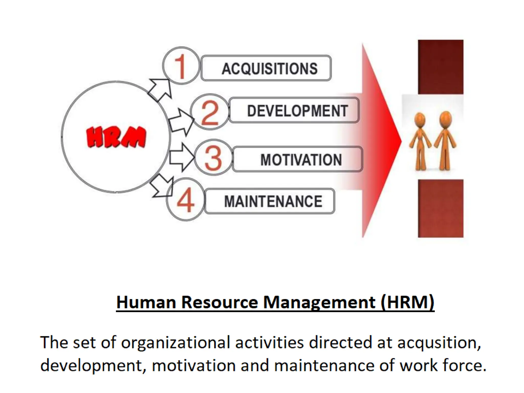 Human Resource Management in Healthcare Organization | PDF