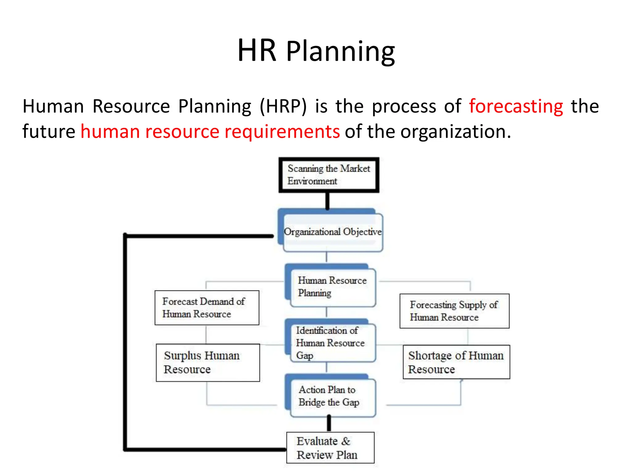 Human Resource Management in Healthcare Organization | PDF