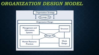 HUMAN RESOURCE MANAGEMENT INTERVENTIONS.pptx