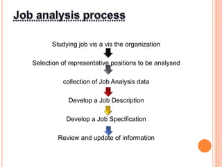 JOB ANALYSIS - PROCESS | PPTX