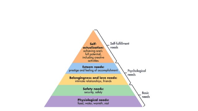 Human resource management theories | PPTX