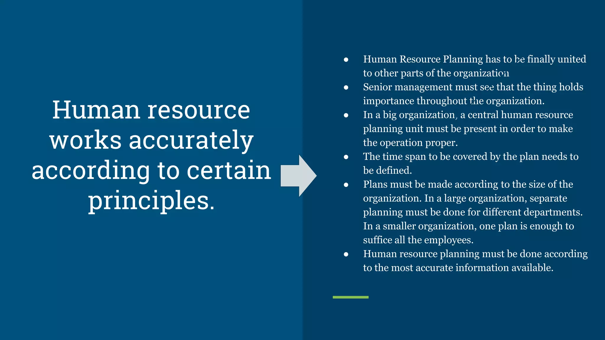 What Are The Principles Of Human Resource Planning? | PPTX