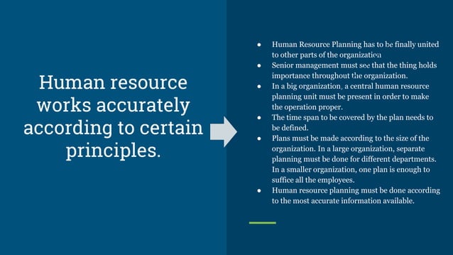 What Are The Principles Of Human Resource Planning? | PPT
