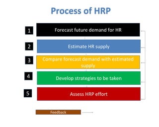 human_resource_planning (1).pptx