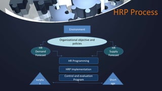 Human resource planning and job analysis | PPTX