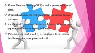 Human resource planning, recruitment, selection | PPTX