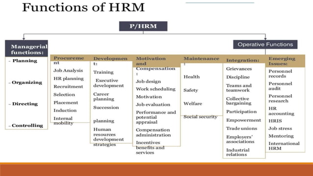 Human resource |nursing management | PPTX