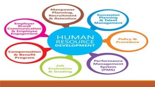 Human resource |nursing management | PPT