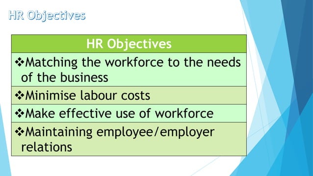 Human Resources (HRM, Soft and Hard HRM) | PPTX