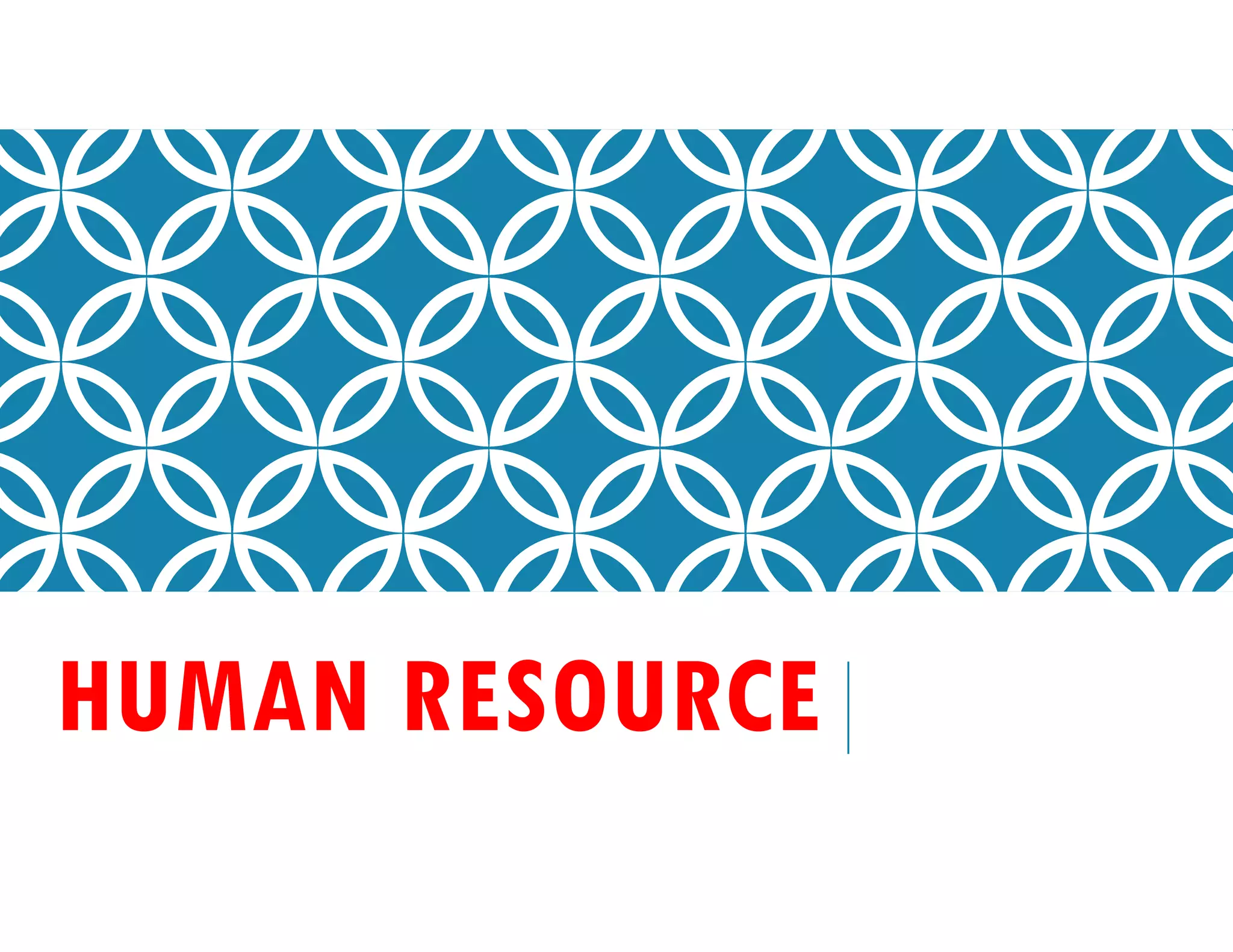 Human resources class 8 | PDF