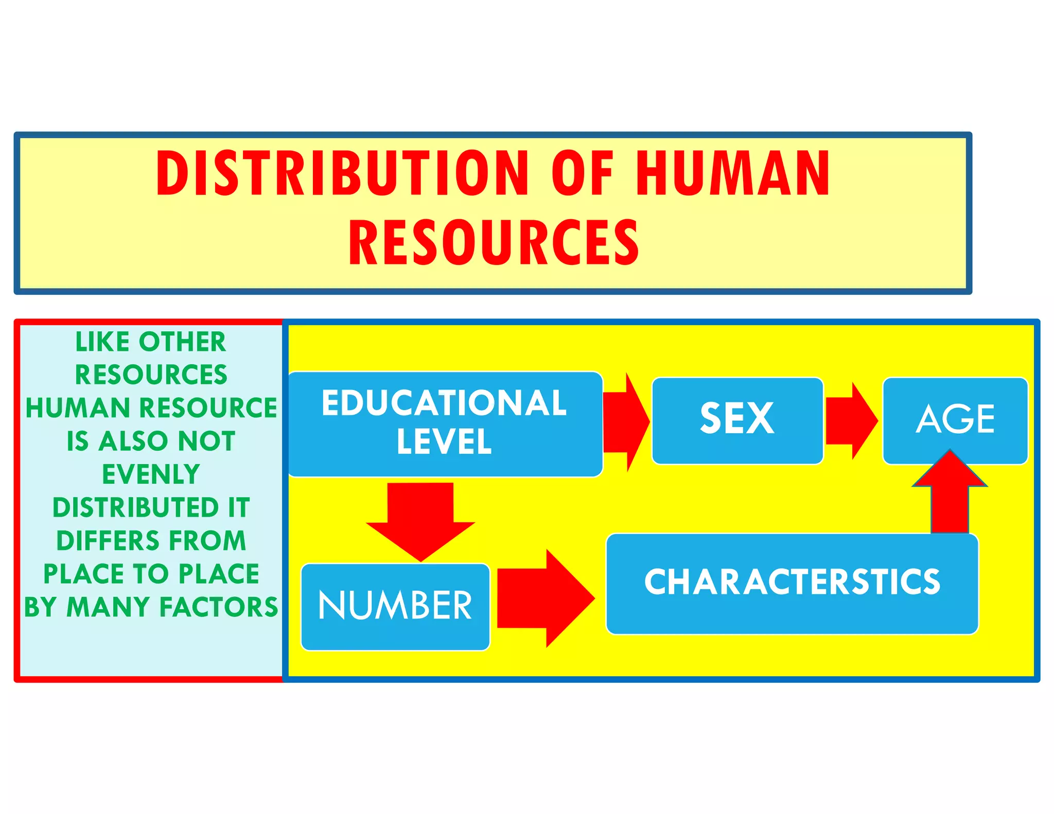 Human resources class 8 | PDF