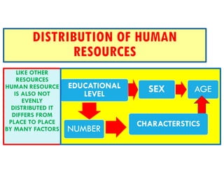 Human resources class 8 | PDF