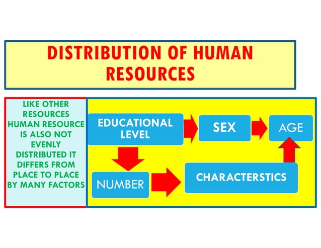 Human resources class 8 | PDF