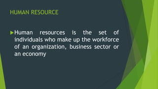 Human resource sorting | PPTX | Human Resources | Business