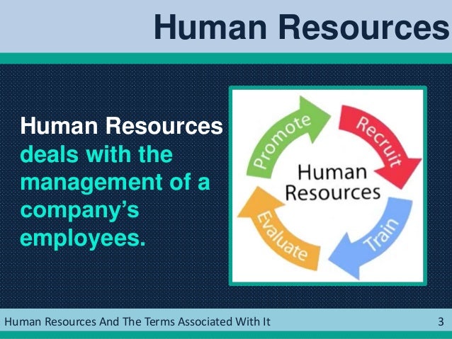 Human Resources / Related Terms