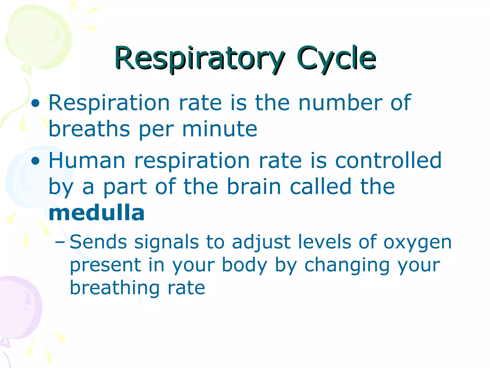 Human respiration | PPT