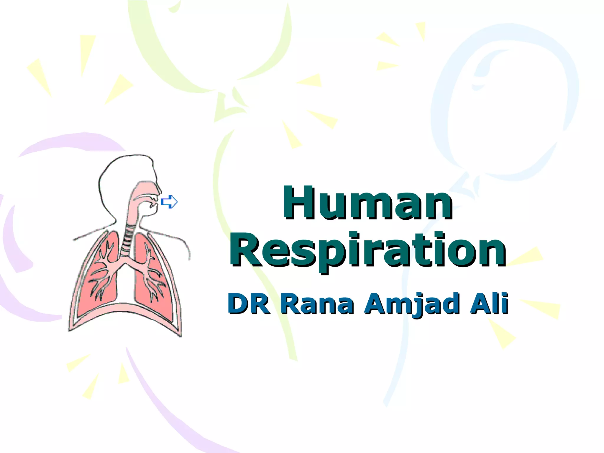 Human respiration | PPT