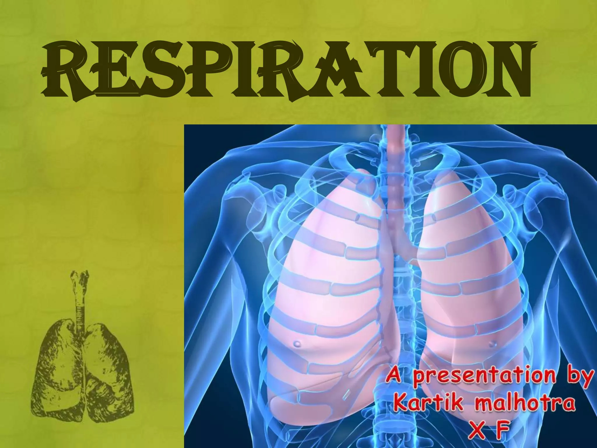 Human respiration by kartik malhotra | PPT