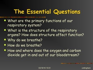 Human respiration honors master | PPT