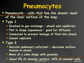 VENTILATION SYSTEMS | PPT | Free Download
