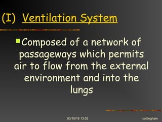 VENTILATION SYSTEMS | PPT