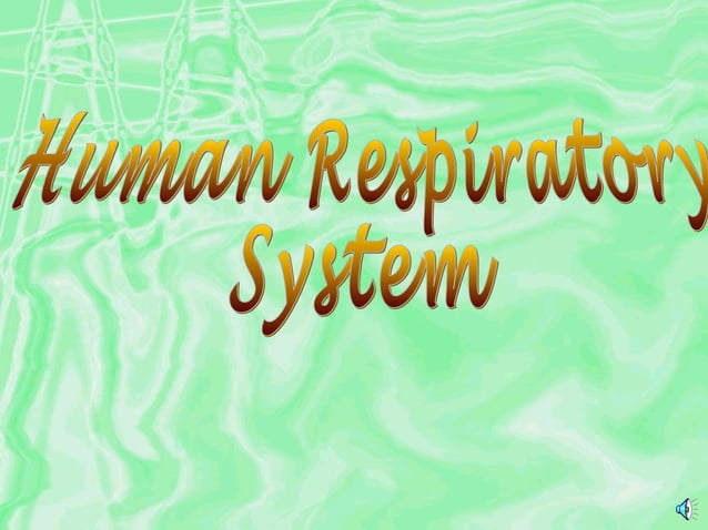 Human respiratory system | PPT