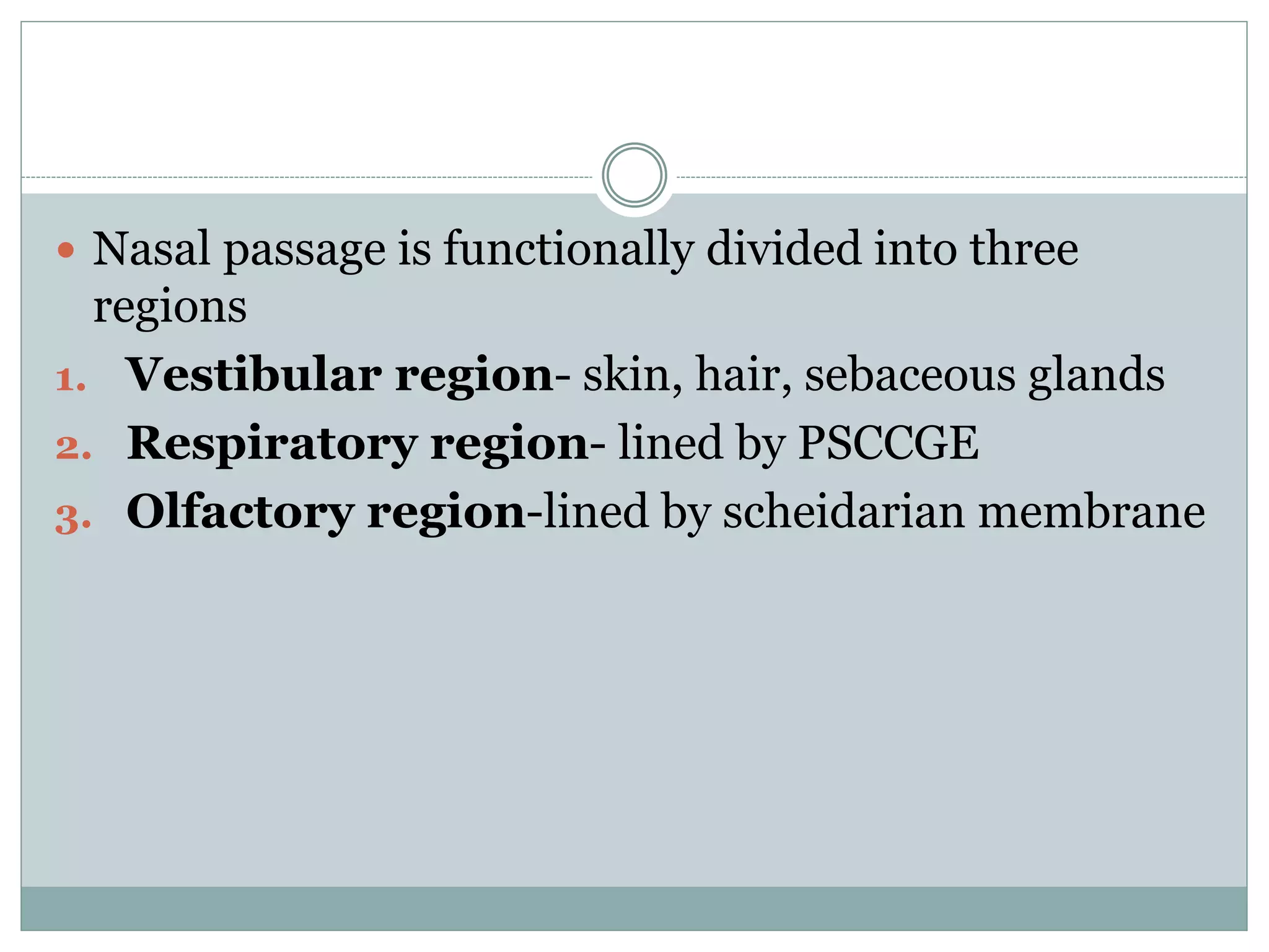 Human respiratory system | PPT