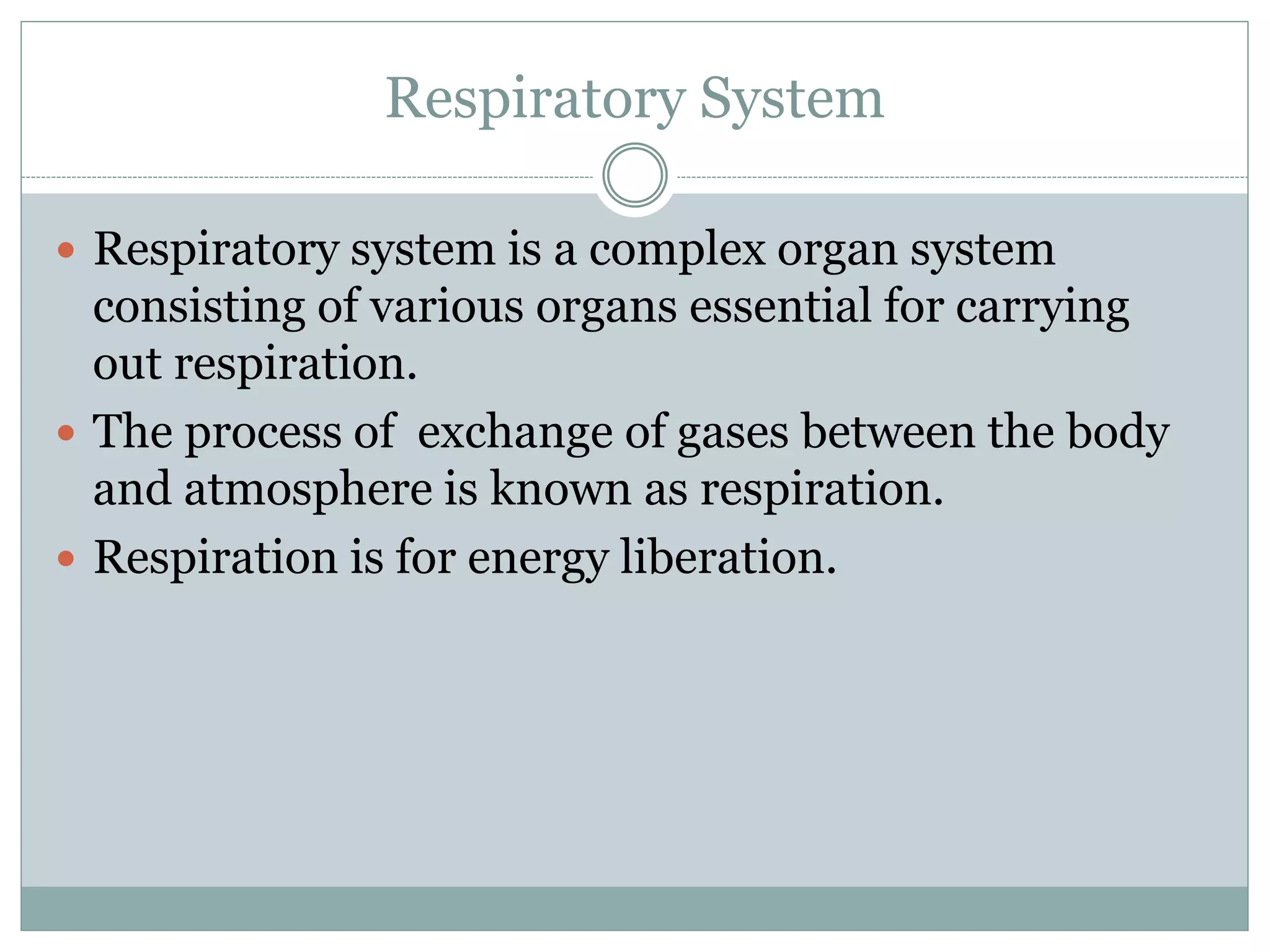Human respiratory system | PPT