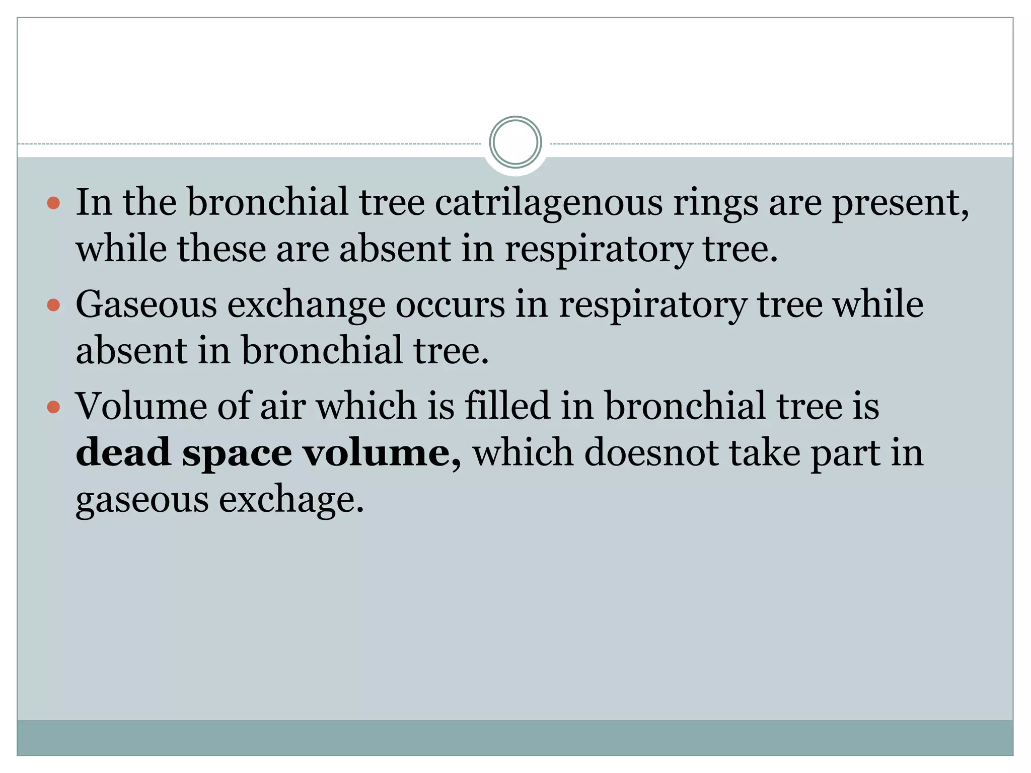 Human respiratory system | PPT
