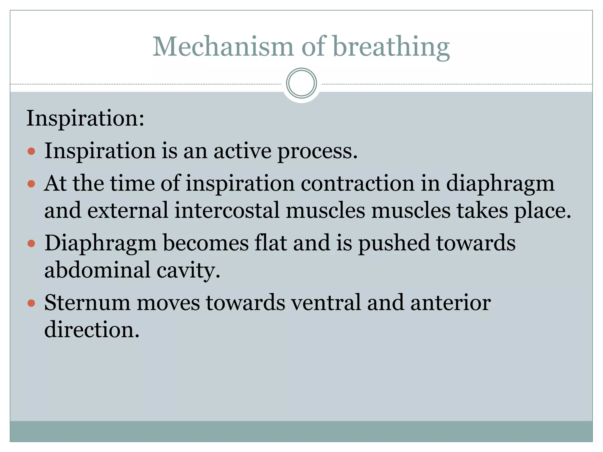 Human respiratory system | PPT