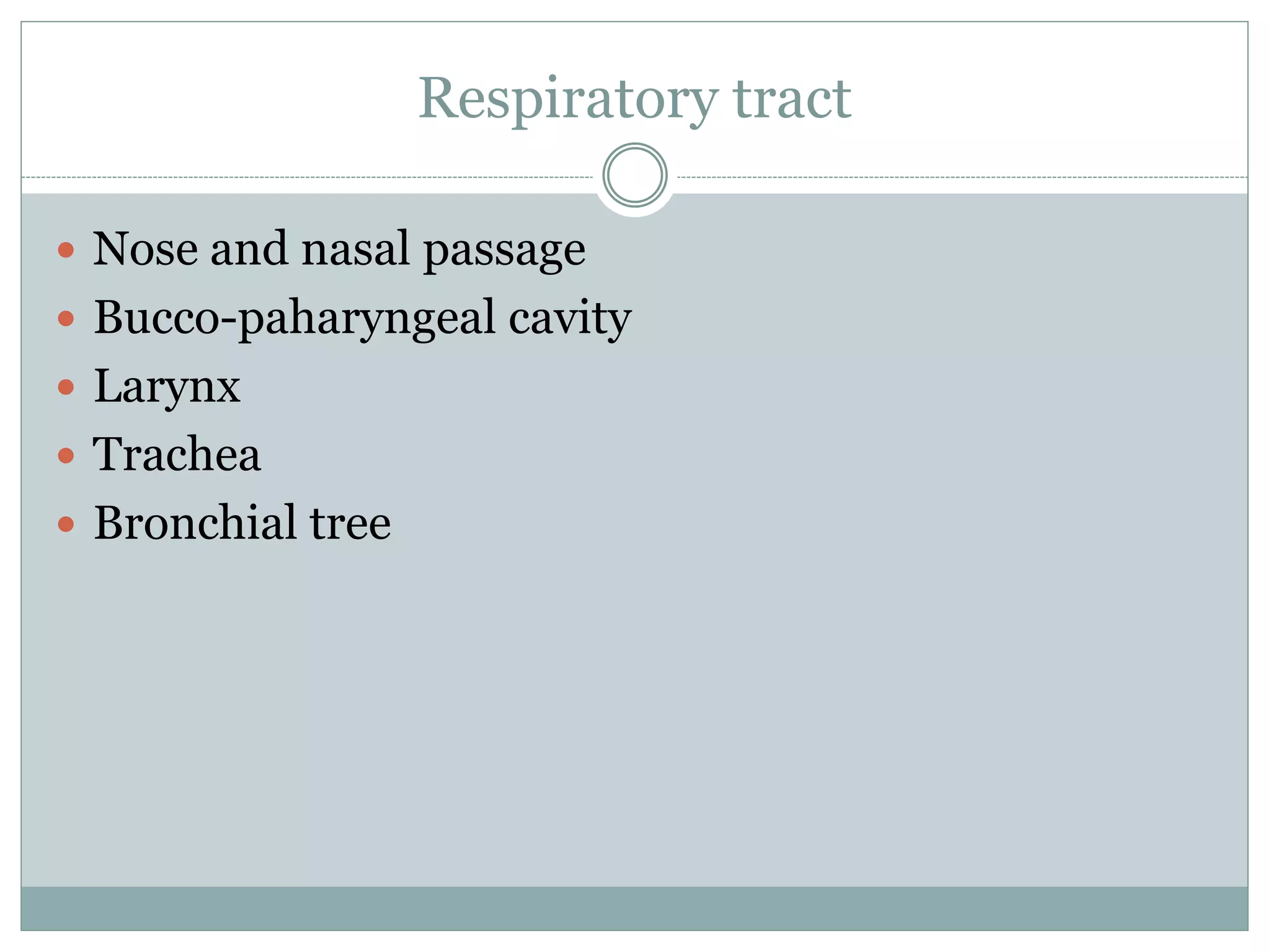 Human respiratory system | PPT