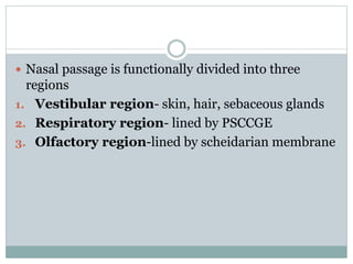 Human respiratory system | PPTX