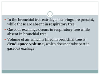 Human respiratory system | PPTX