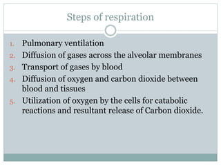 Human respiratory system | PPTX