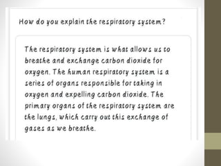 Human respiratory system | PPT