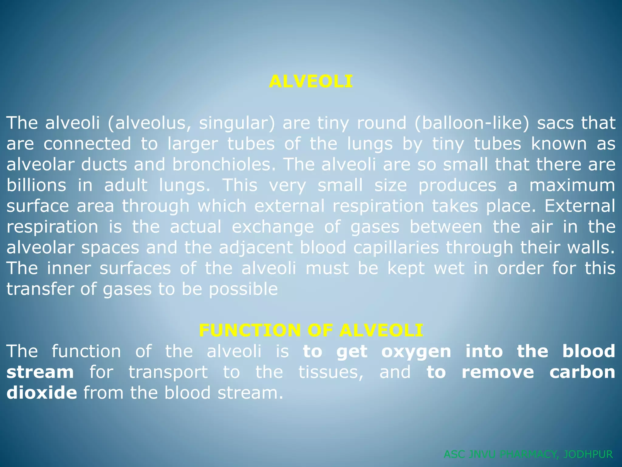 Human respiratory system | PPTX