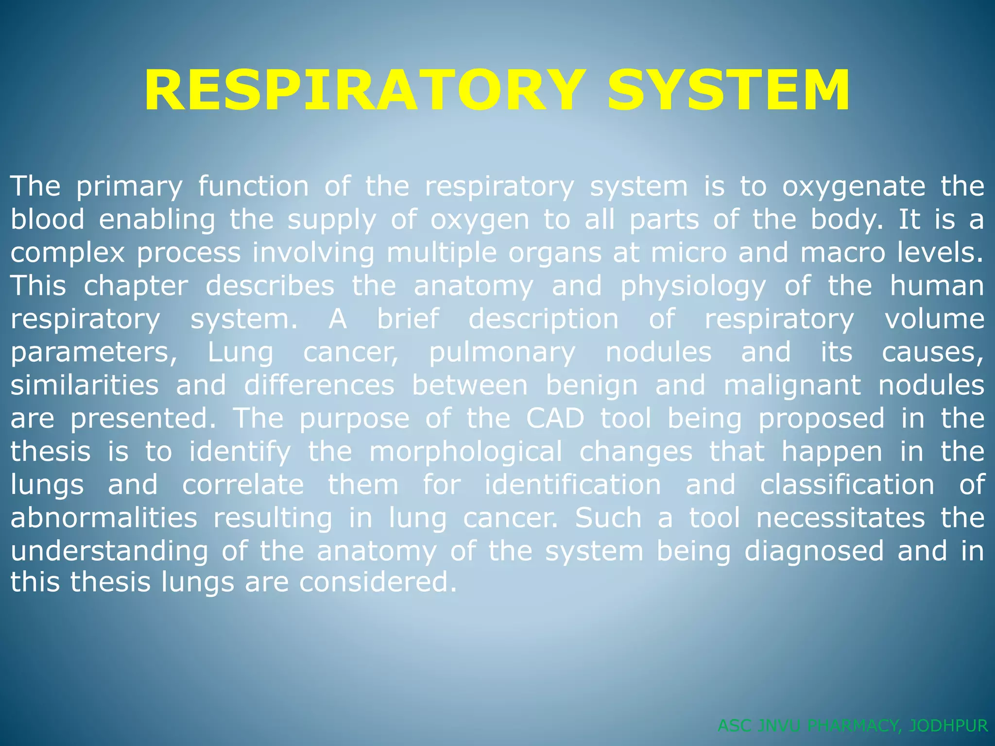 Human respiratory system | PPTX
