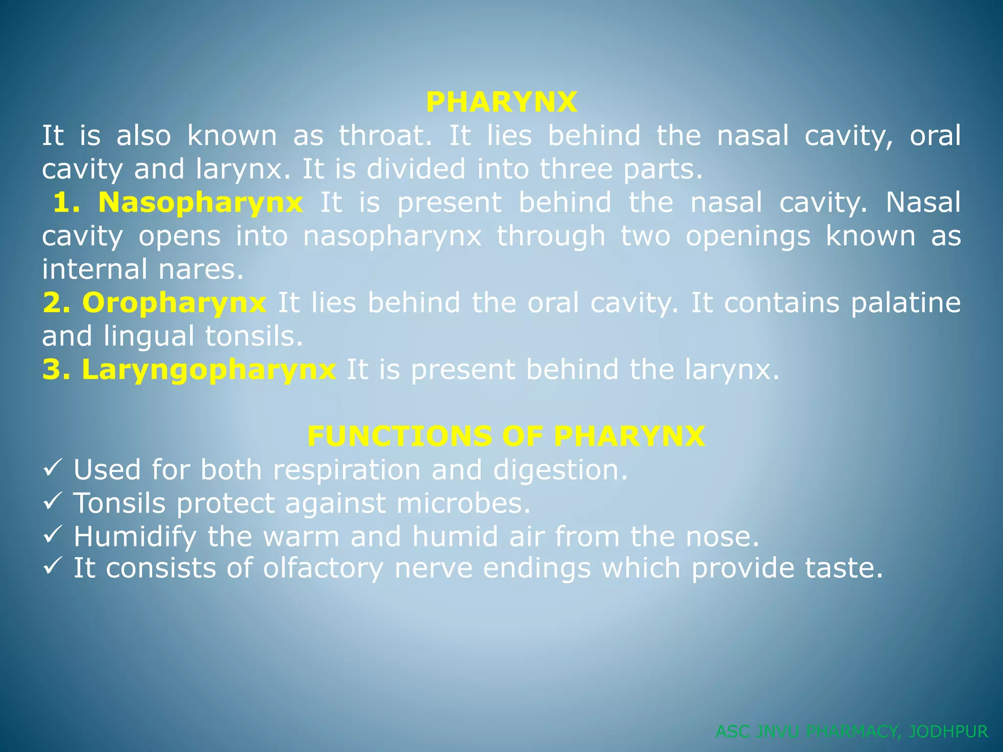 Human respiratory system | PPTX