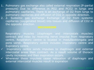 Human respiratory system | PPTX