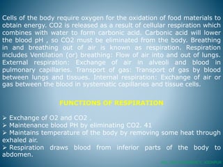 Human respiratory system | PPTX