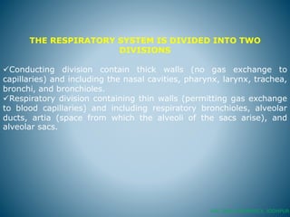 Human respiratory system | PPTX