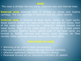 Human respiratory system | PPTX